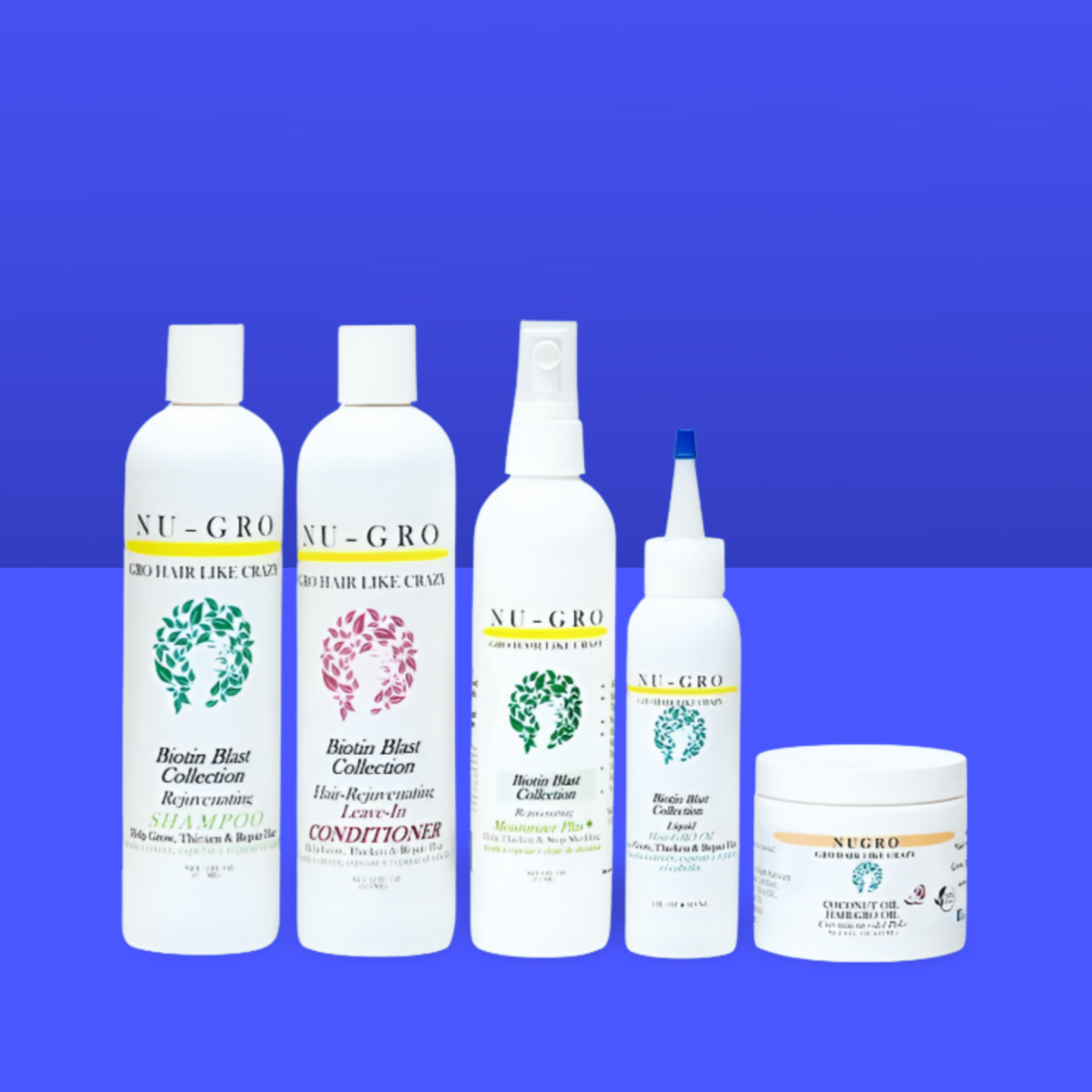 Natural Hair "GRO & CARE" System – NUGRO Hair